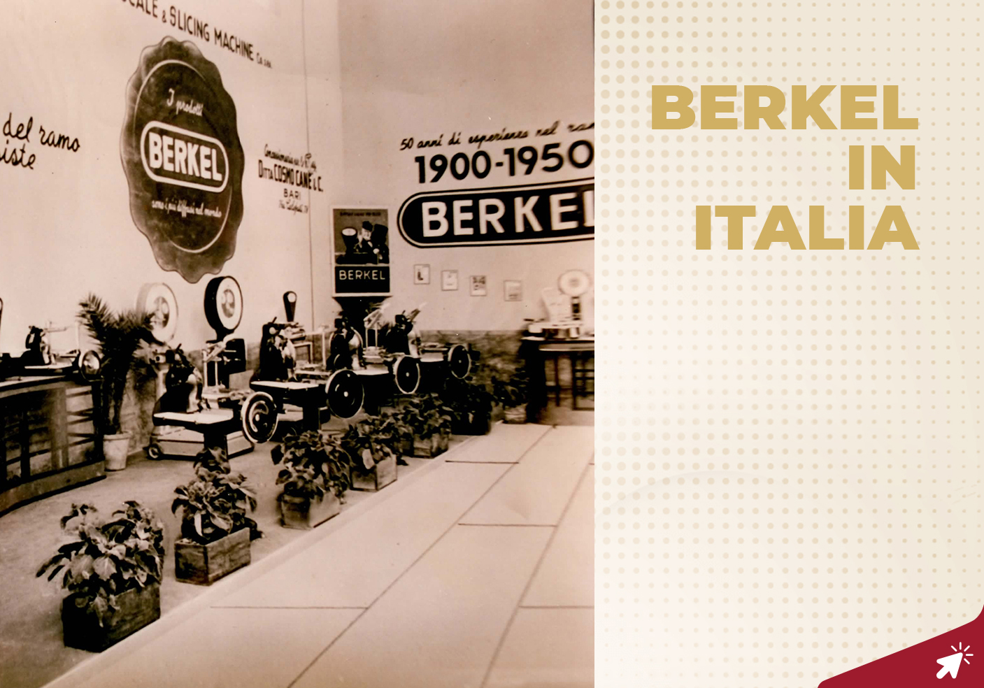 Company Profile (IT) | Berkel Online Store